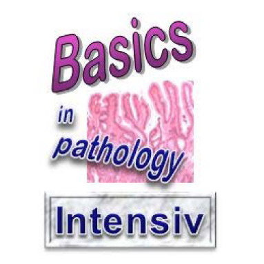 Basics in Pathology 2014 - pathology.hu